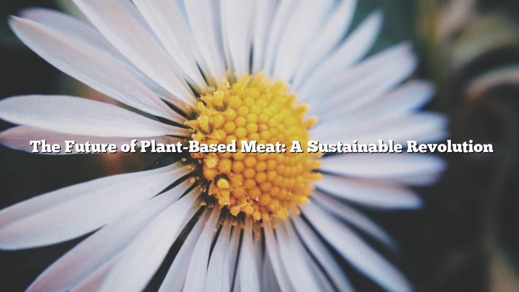 The Future of Plant-Based Meat: A Sustainable Revolution – Just ...
